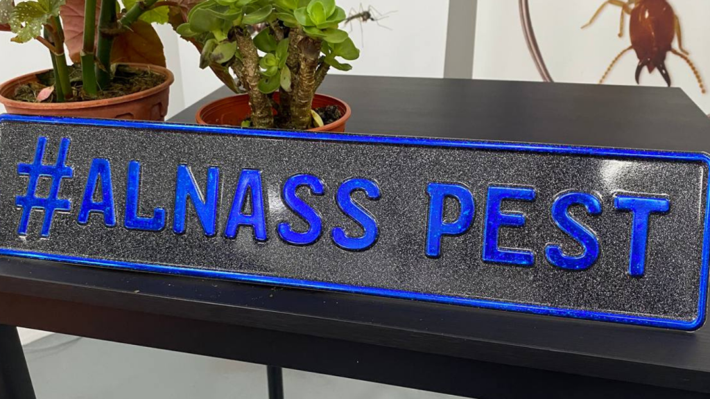 Services | Anti Termites Treatment - ALNASS Pest Control & Hygiene